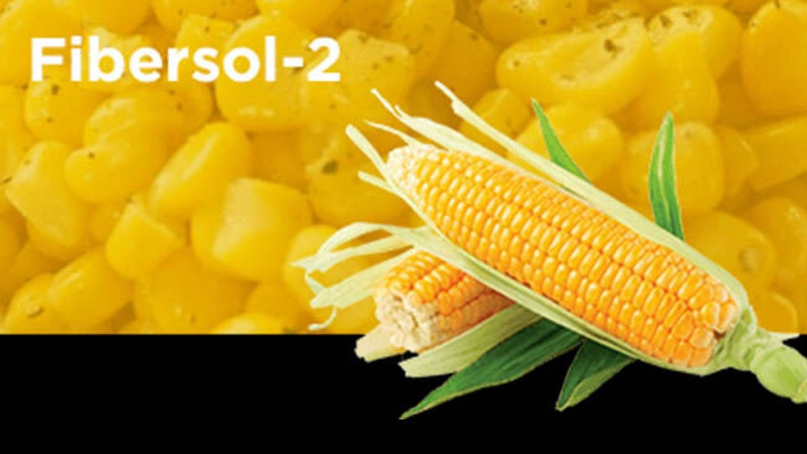 What Is Fibersol®-2?