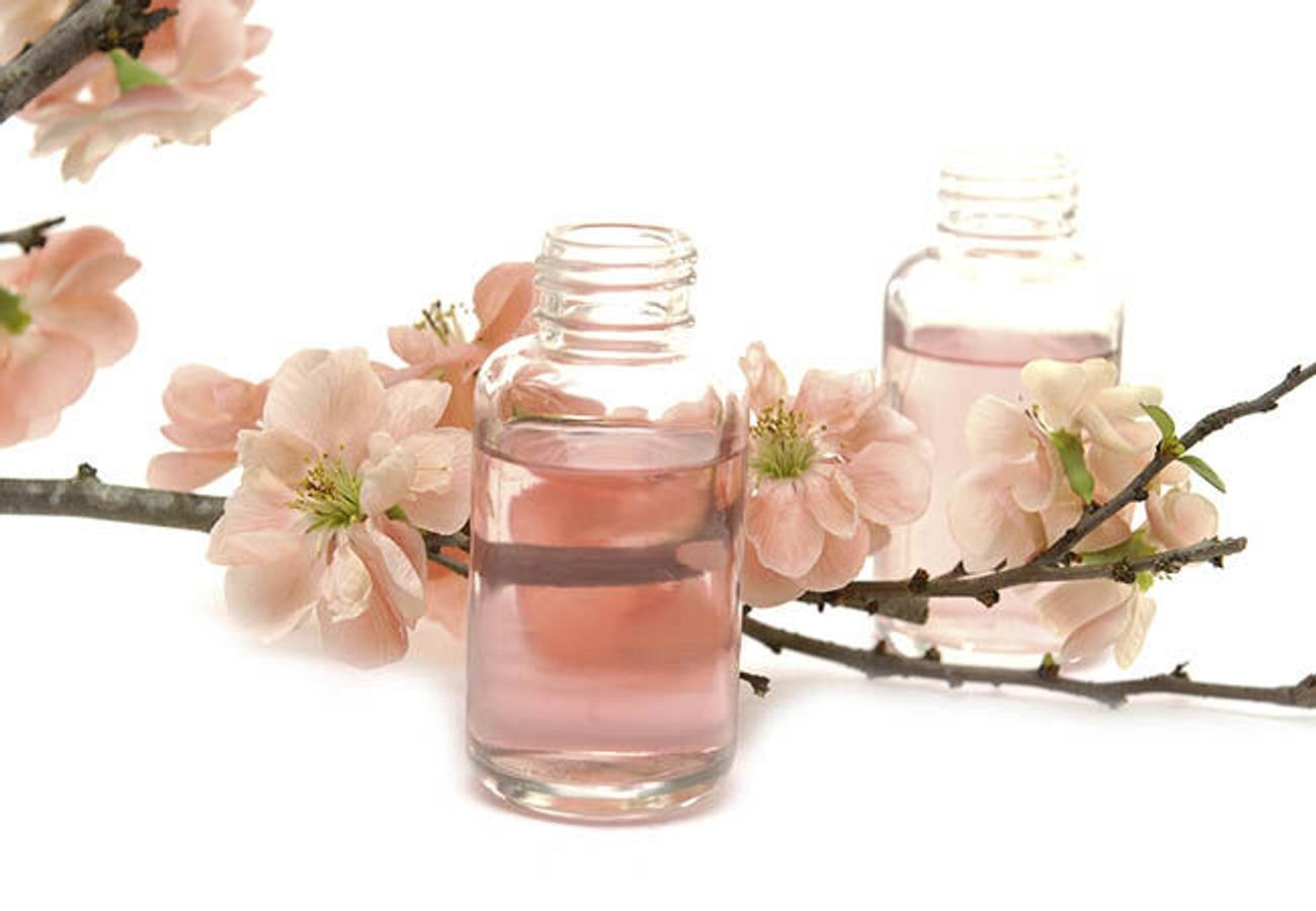 Benefits Of Sakura Flower Extract