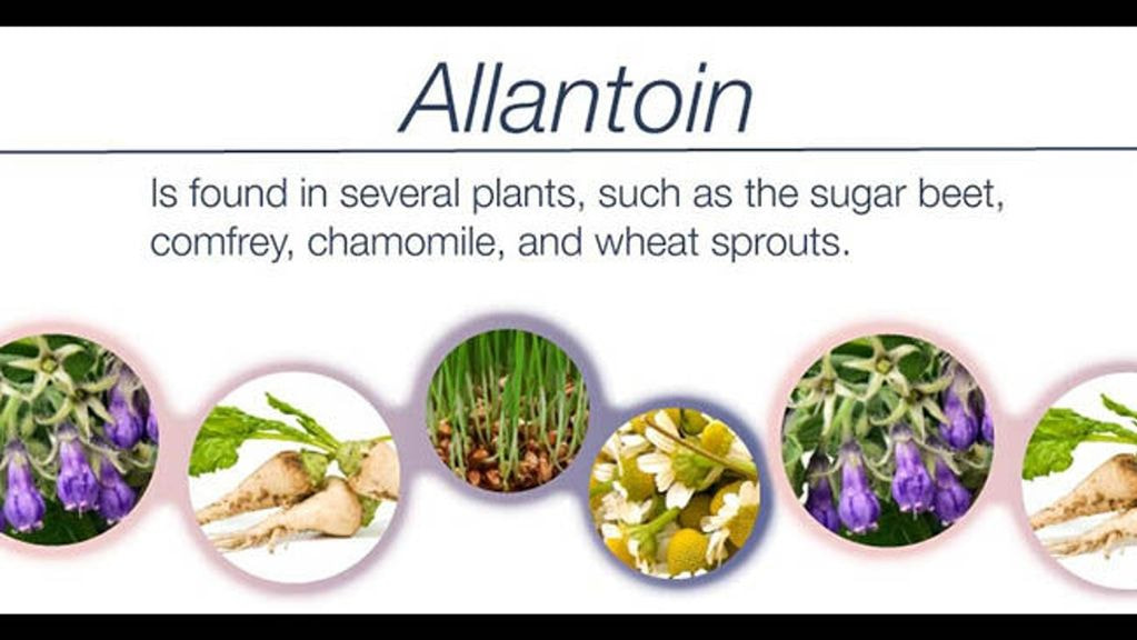 SPOTLIGHT ON ALLANTOIN: WHAT IS IT AND CAN IT BENEFIT YOUR SKIN?