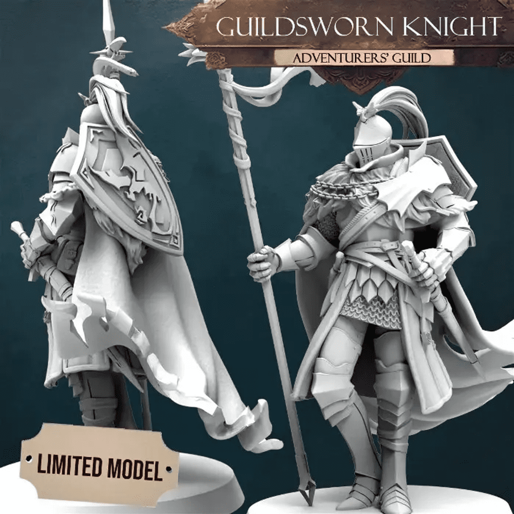 ELDFALL NW: Guildsworn Knight (Samo z deluxe)
