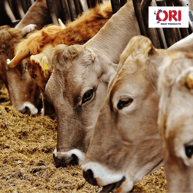 JBI Equity | Fundraising