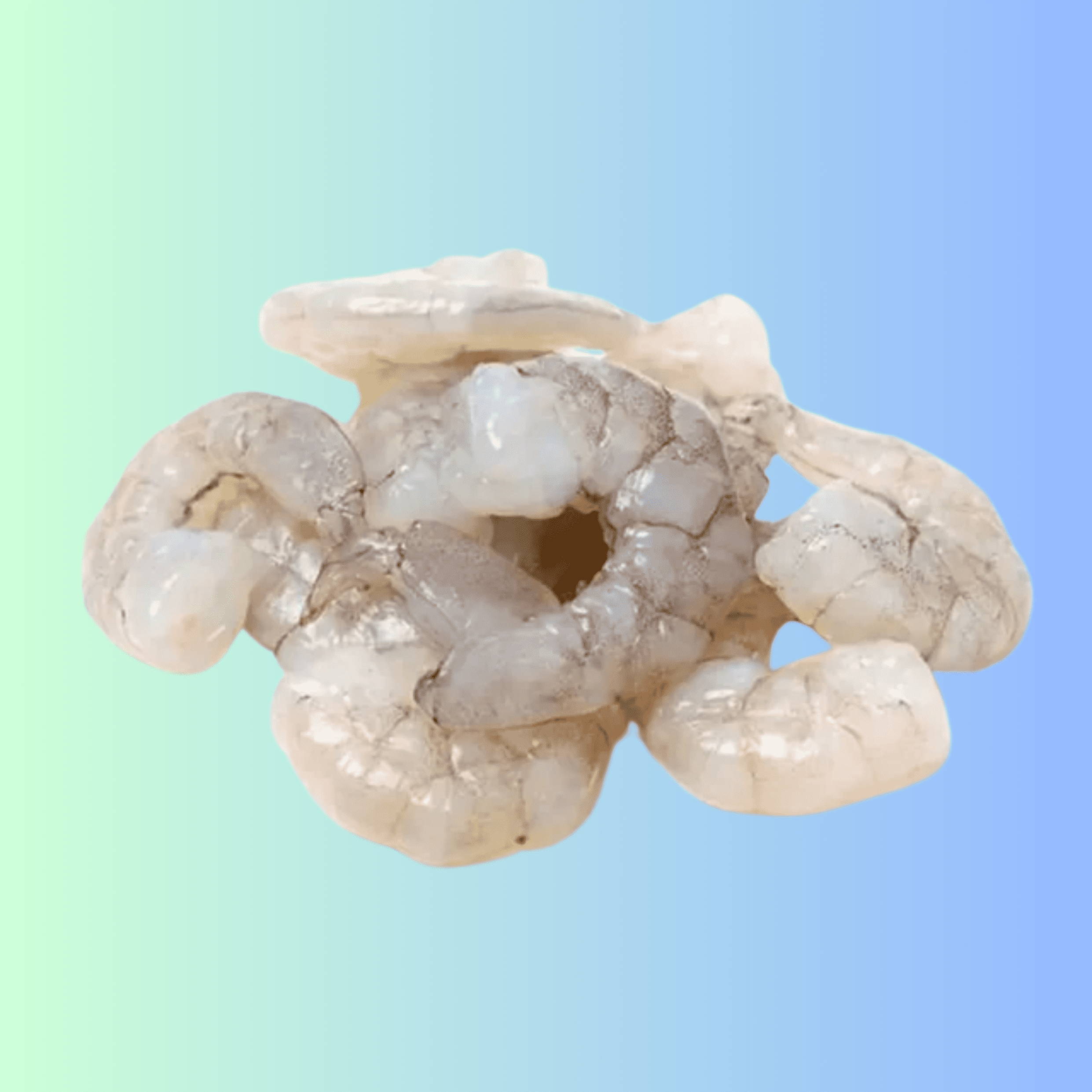Aquawoo Seafood | Vannamei Shrimp