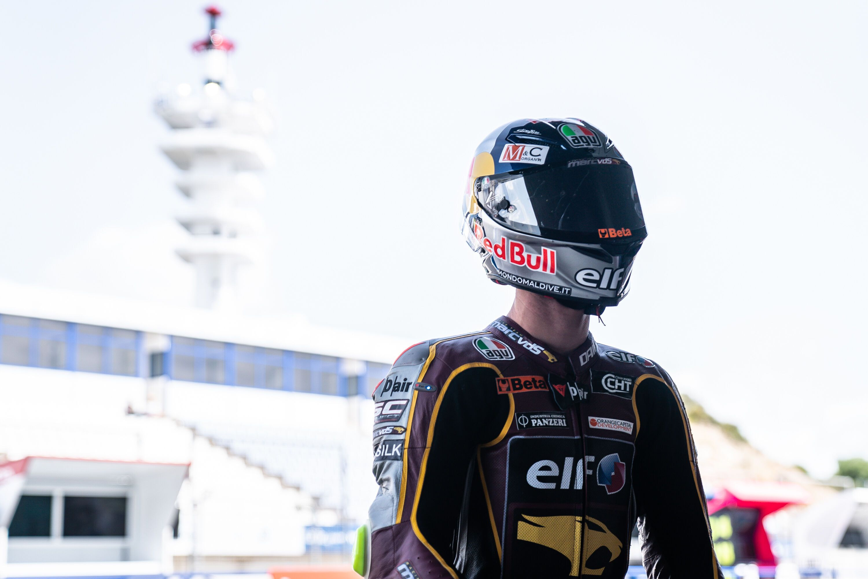 CONQUERING THE TRICOLOR LILY