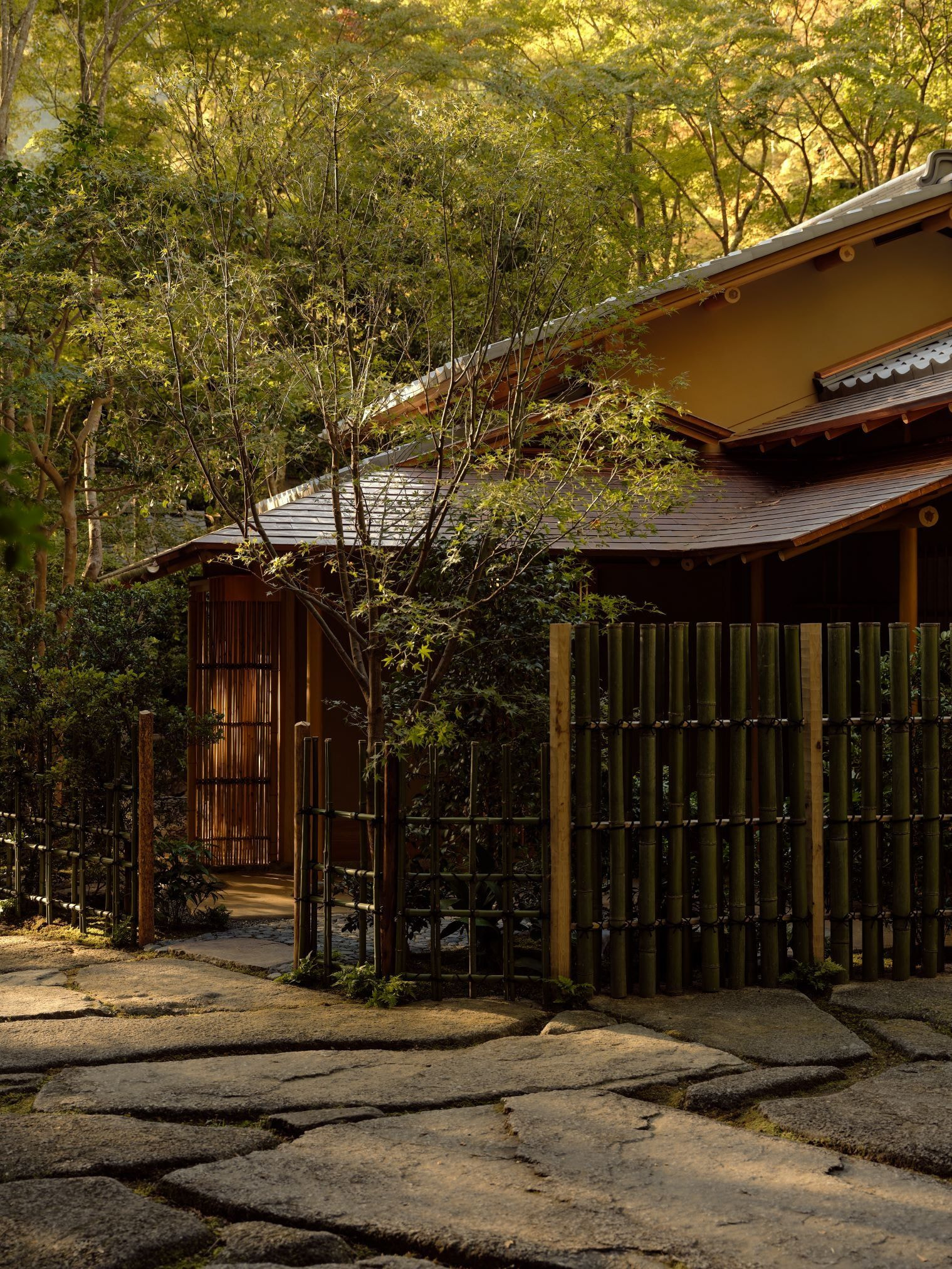 Aman Kyoto’s opens a secret forest of centuries-old Japanese tea ...